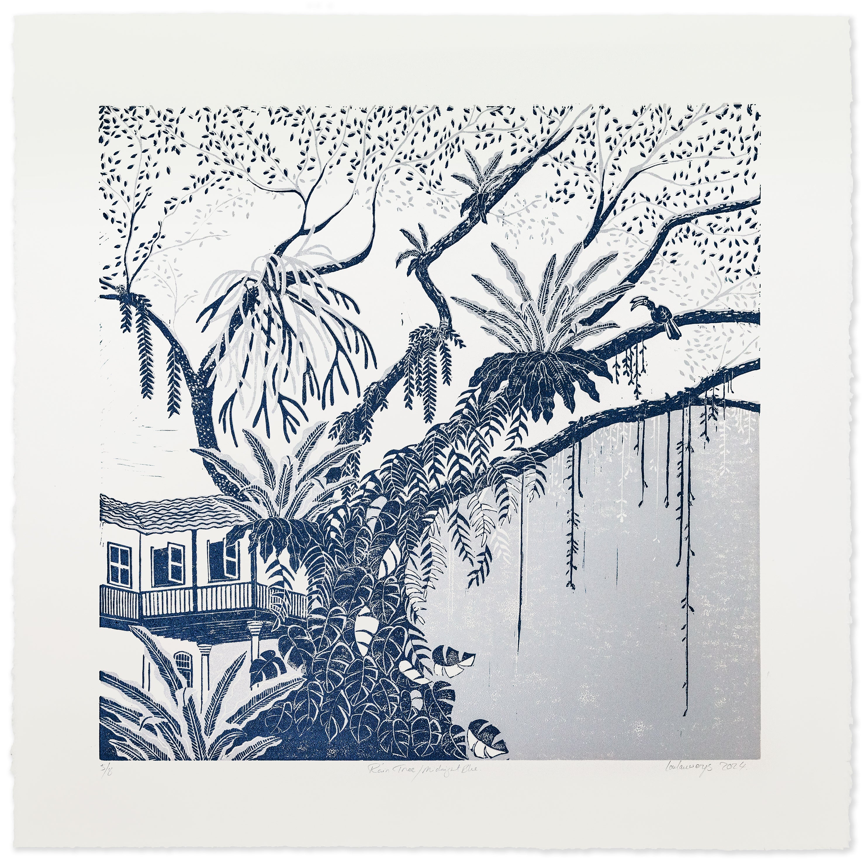 Canopy Collection – Lou Lauwerys