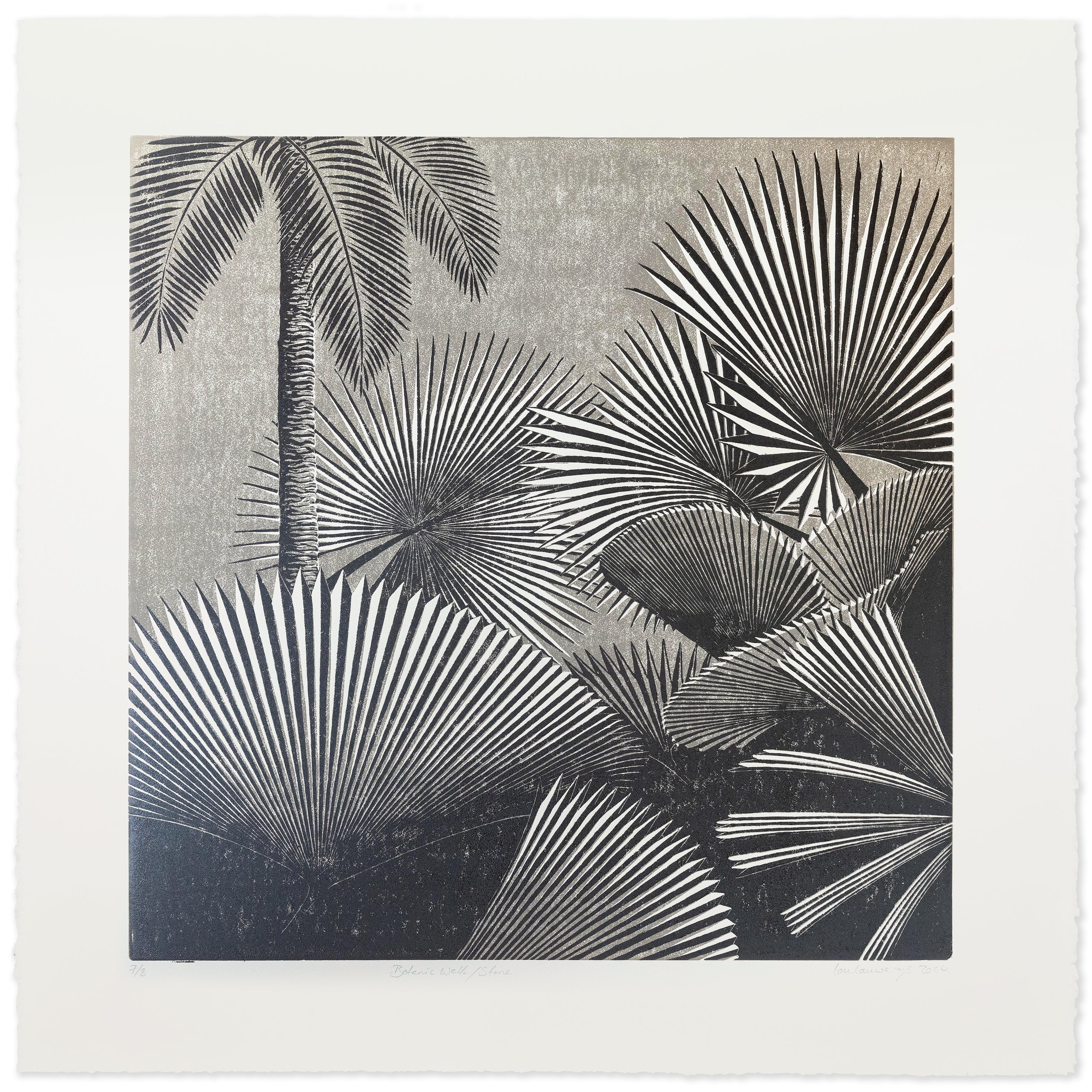 Canopy Collection – Lou Lauwerys