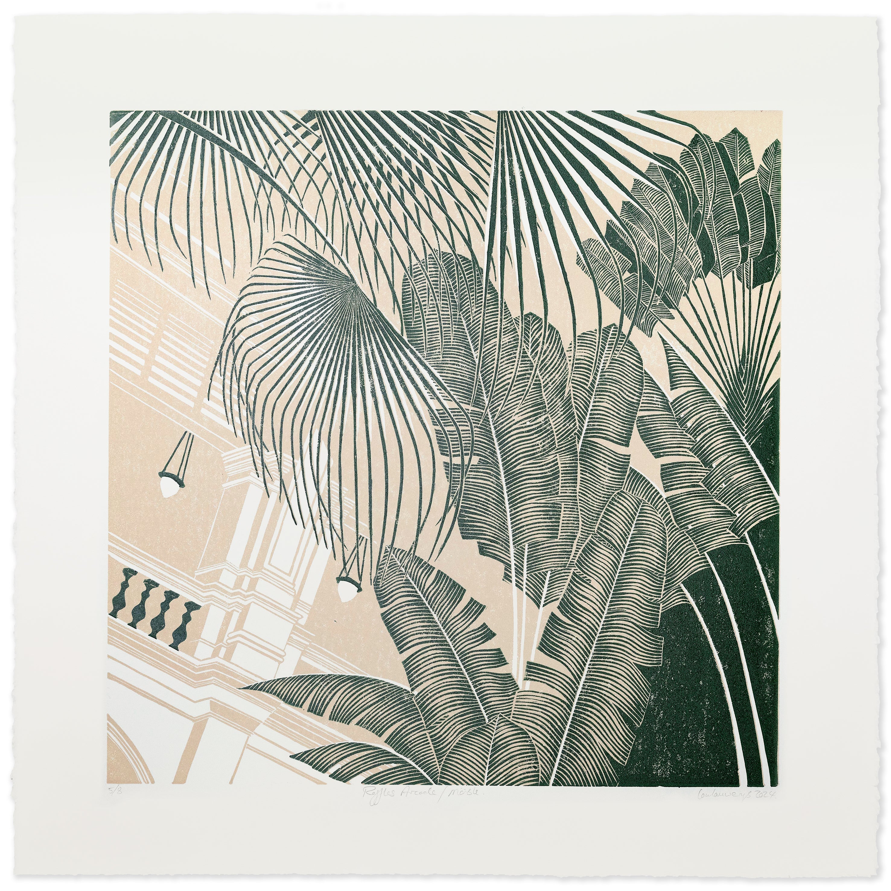 Canopy Collection – Lou Lauwerys