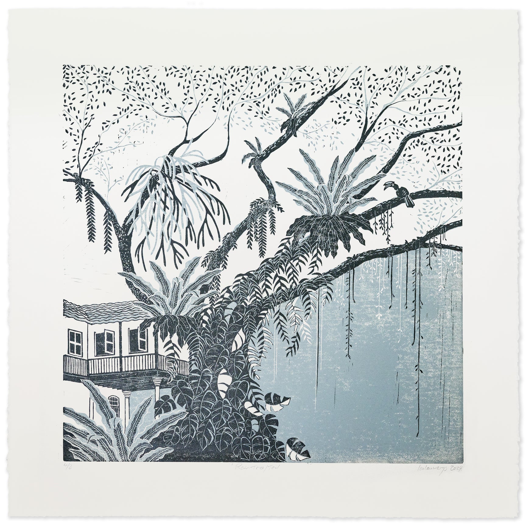 Canopy Collection – Lou Lauwerys